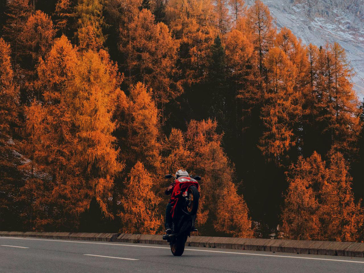 Epic Autumn Motorcycle Routes: Scenic Rides Await! – Desmoheart